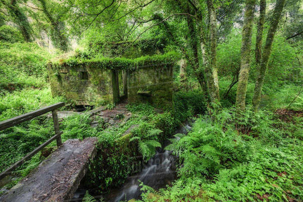 Old water mill in the forest, wooden bridge over stream - Royalty-free ...
