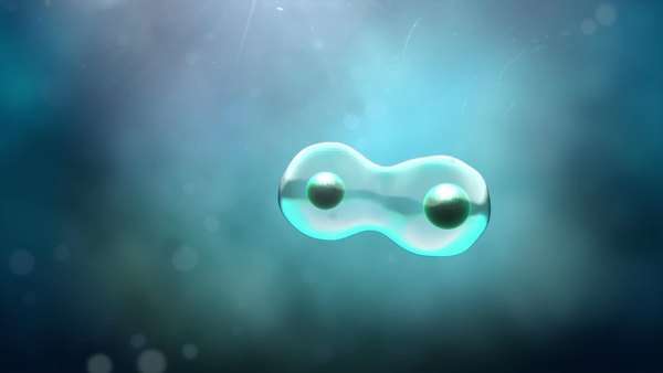 Floating cells multiplying. Blue version. - Stock Video Footage - Dissolve