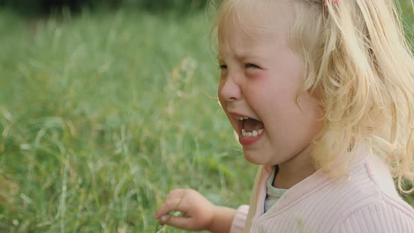 Close-up face, sad blond little girl (2 years old) crying with tears in ...