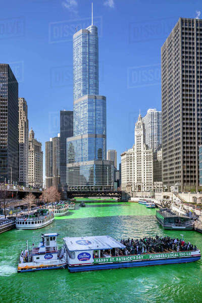 The annual dyeing of the Chicago River green is the work of the Chicago ...
