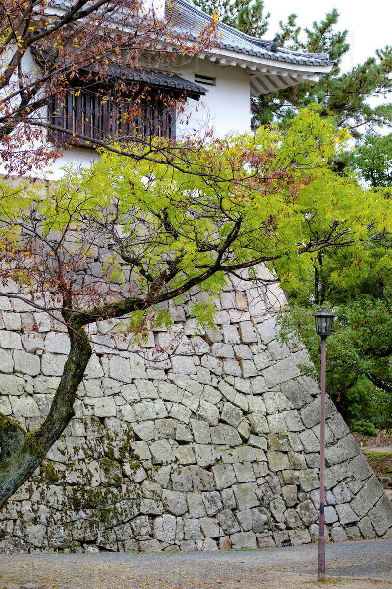 Japanese castle wall with autumn foliage - Royalty-free Stock Photo ...