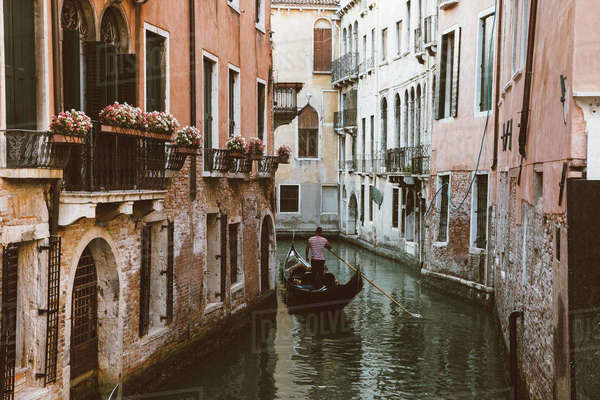 Standard license, Royalty-free Commercial photo from Dissolve.com ...