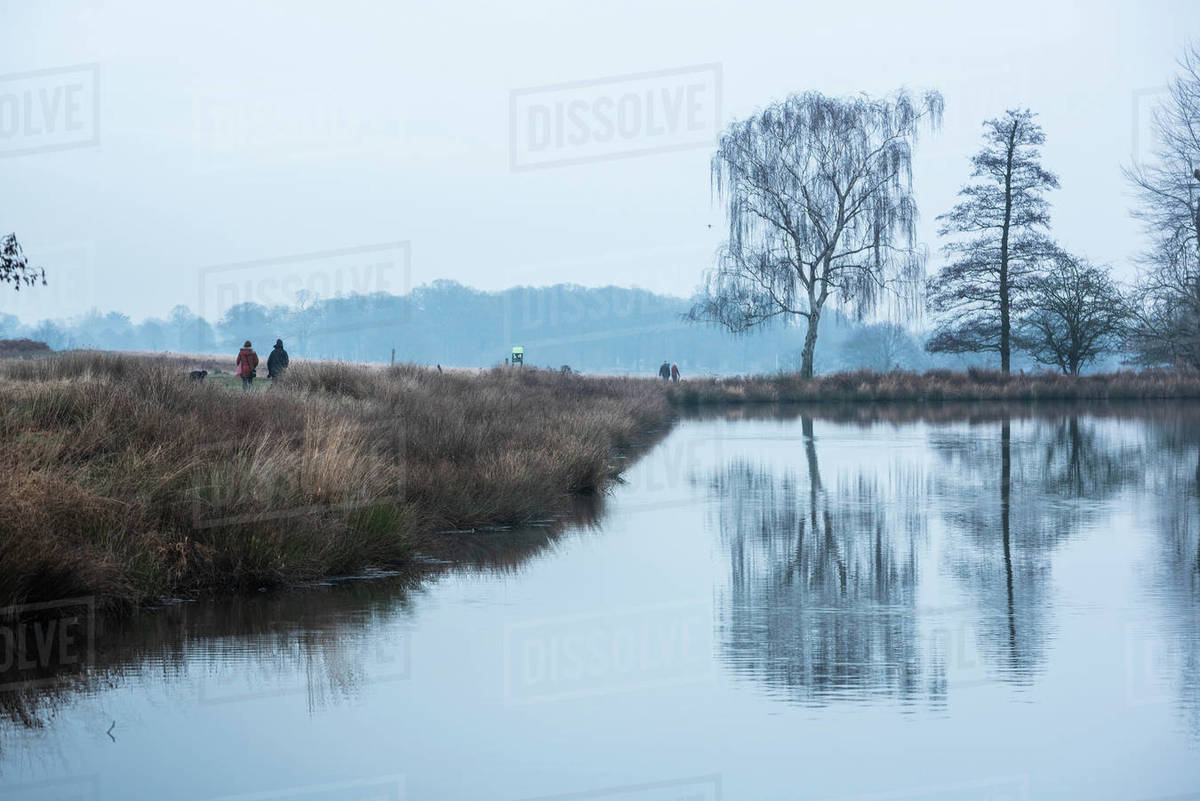 Ponds In London England