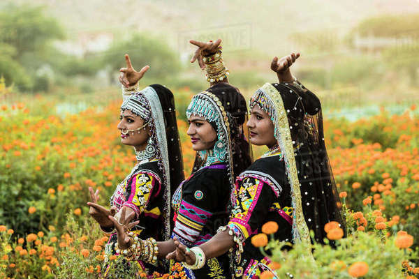 Local dancers in a marigold farm in Pushkar, Rajasthan, India, Asia ...