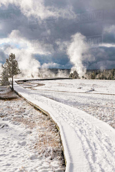 Yellowstone National Park, UNESCO World Heritage Site, Wyoming, United ...