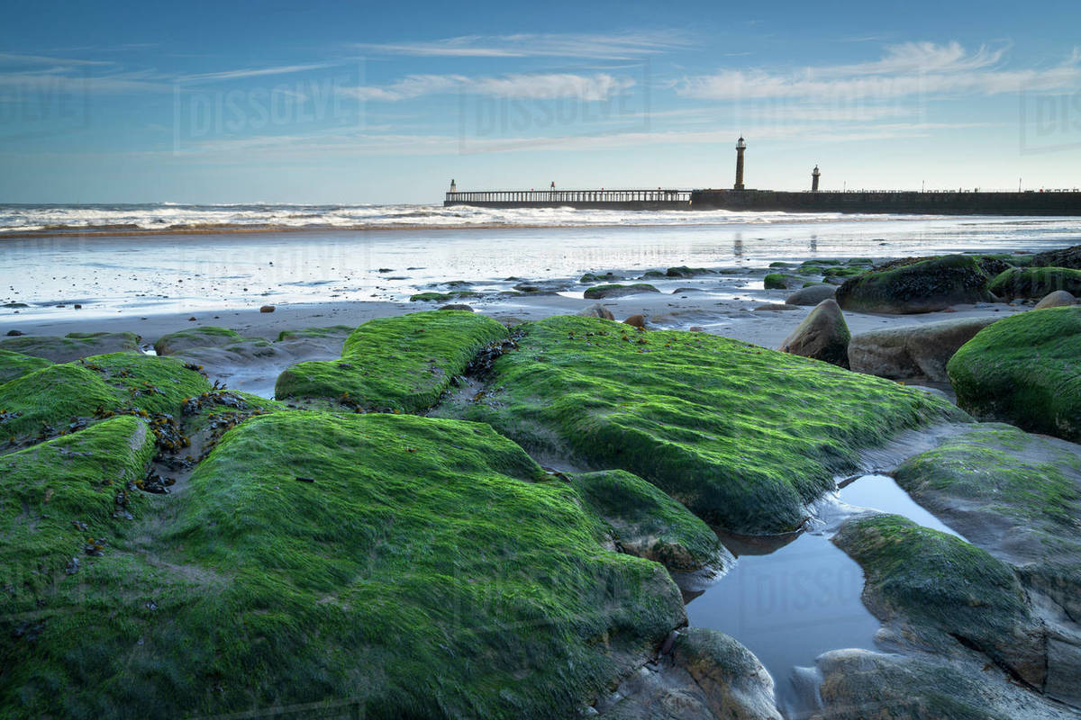 Whitby piers at low tide in winter, Whitby, North Yorkshire, Yorkshire ...