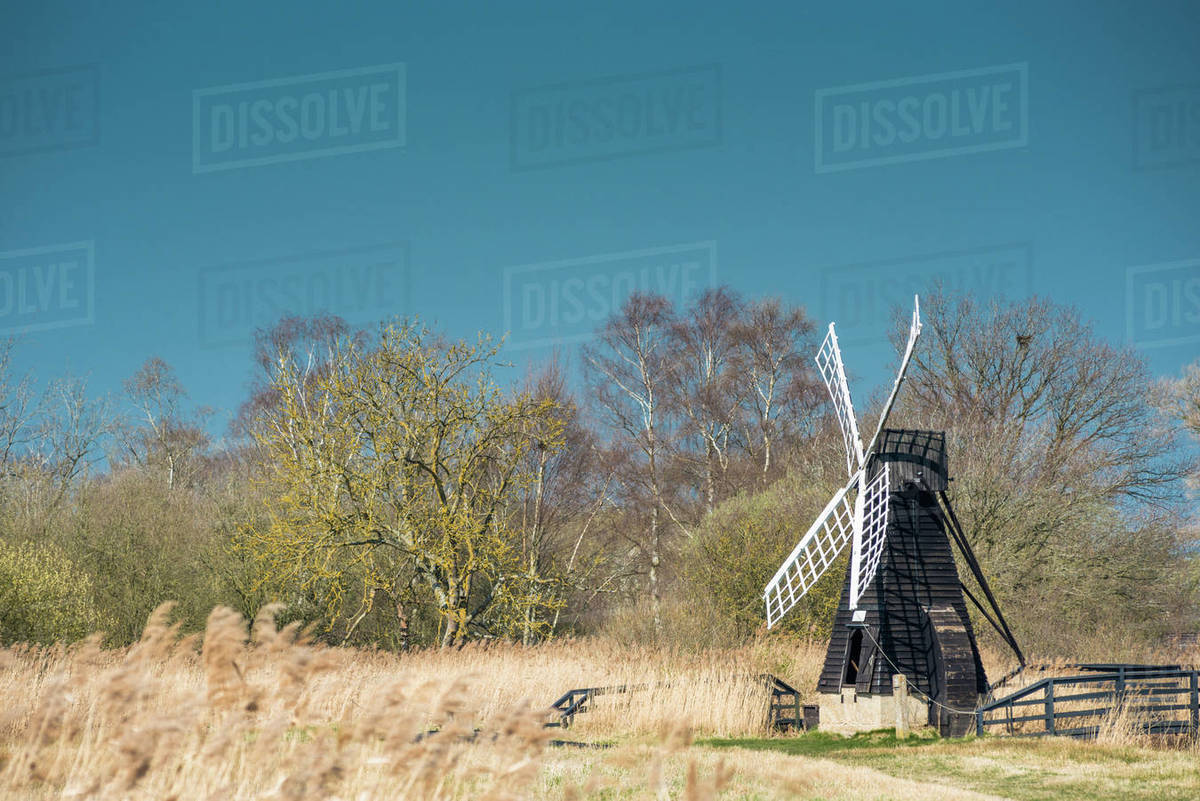The last surviving wooden wind pump in the Fens at Wicken Fen National ...
