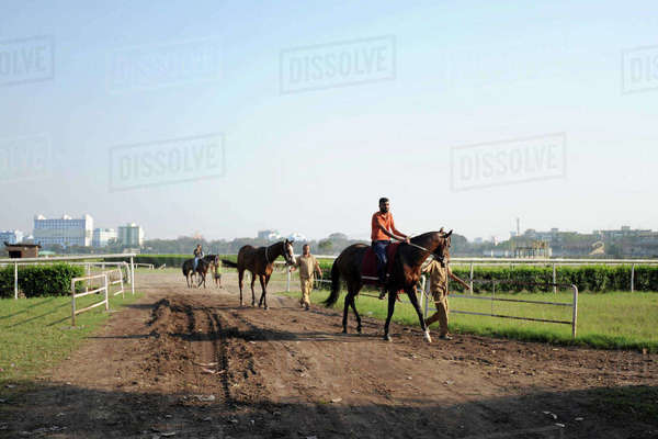 Race horses being exercised at the famous Royal Calcutta Turf Club ...