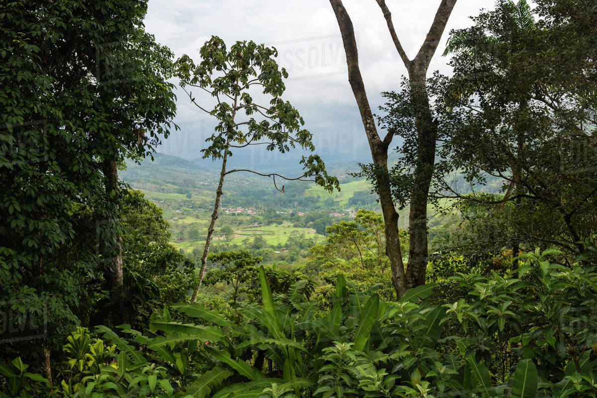 Turrialba, Cartago Province, Costa Rica, Central America - Royalty-free ...
