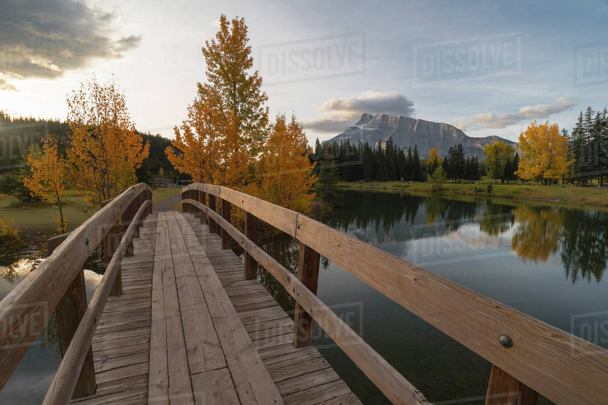 Bridge over Cascade Pond with Mount Rundle on horizon in autumn, Banff ...