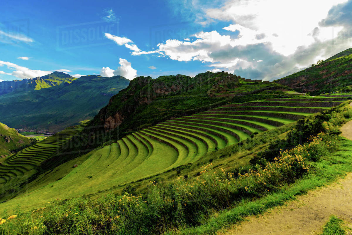 Beautiful terraces on the mountain side at Pisac, Peru, South America ...