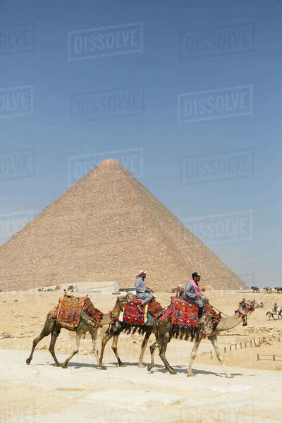 Local men riding camels, Khufu Pyramid in the background, Great ...