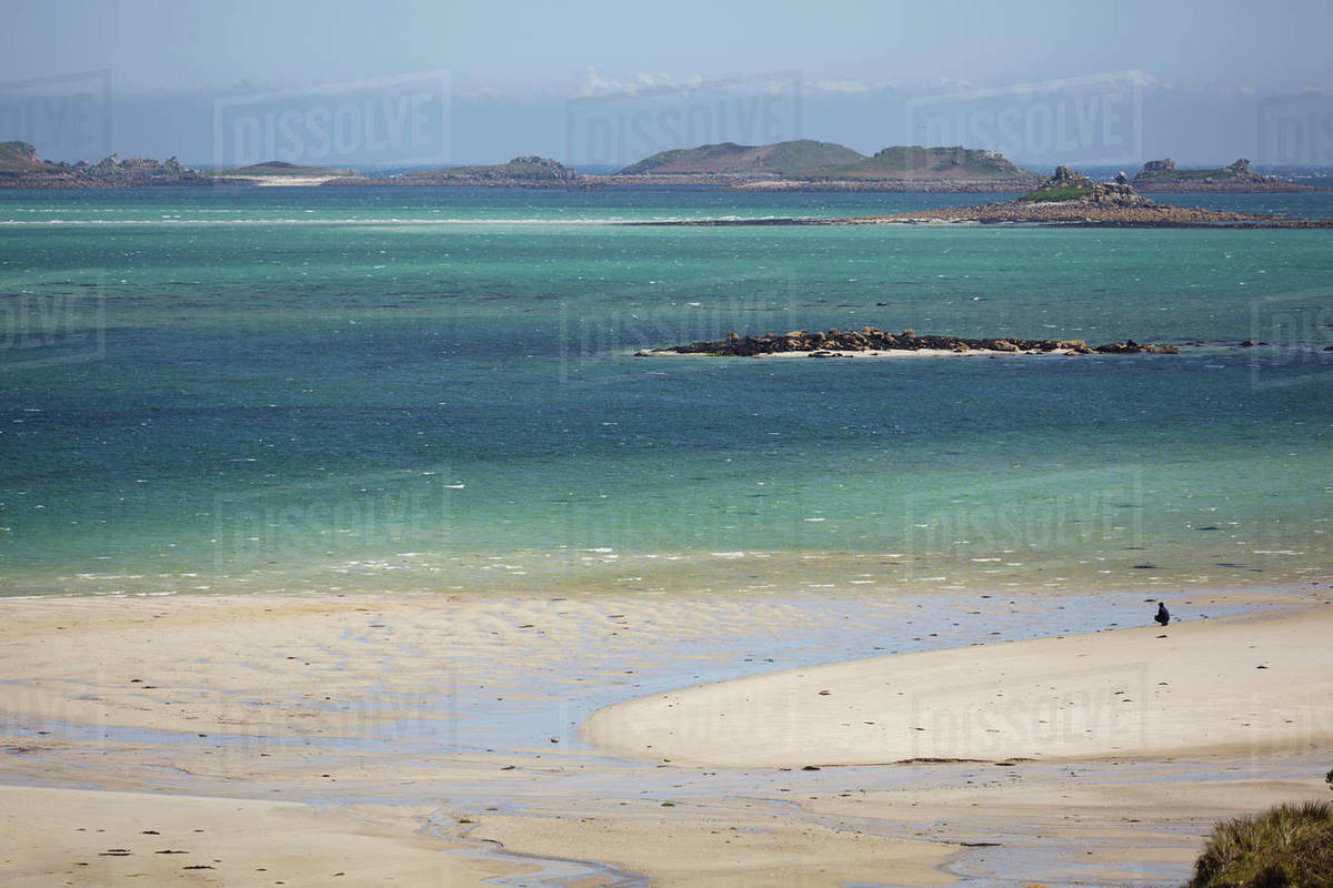 The magnificent sands of Pentle Bay, on the island of Tresco, with a ...