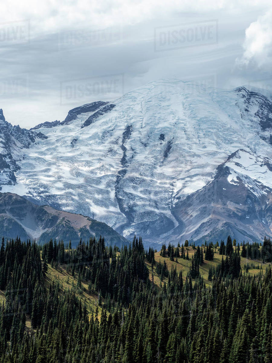 Early light on Mount Rainier from the Burroughs Mountain Trail, Mount ...