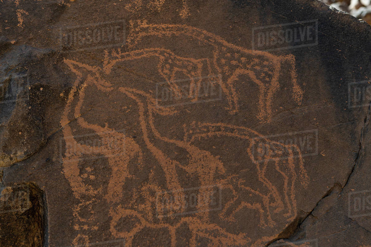 Prehistoric rock carvings, Arakao, Tenere Desert, Sahara, Niger, Africa ...