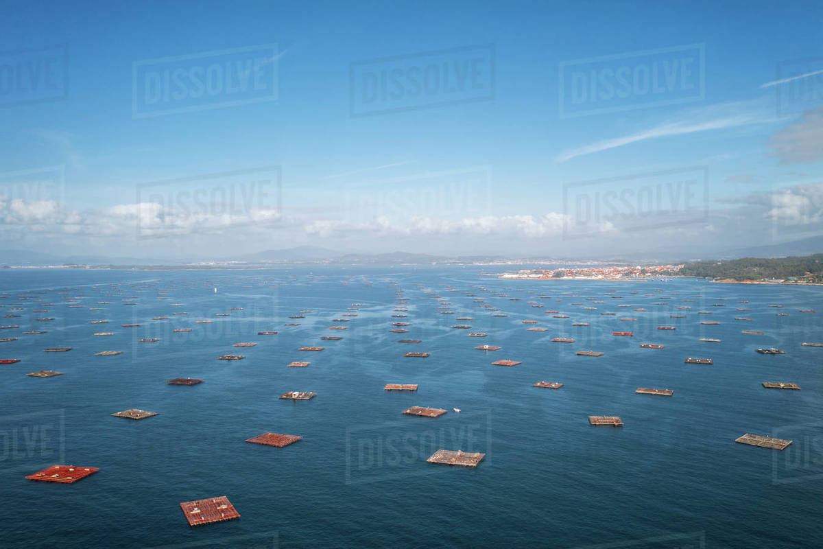 Fish farm, drone panorama view, in the Atlantic Ocean, Arousa Island ...