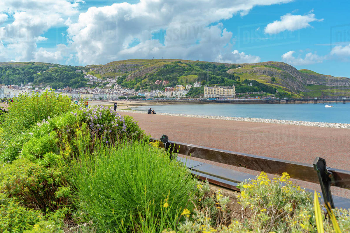 View of Llandudno Pier and the Great Orme in background from Promenade ...