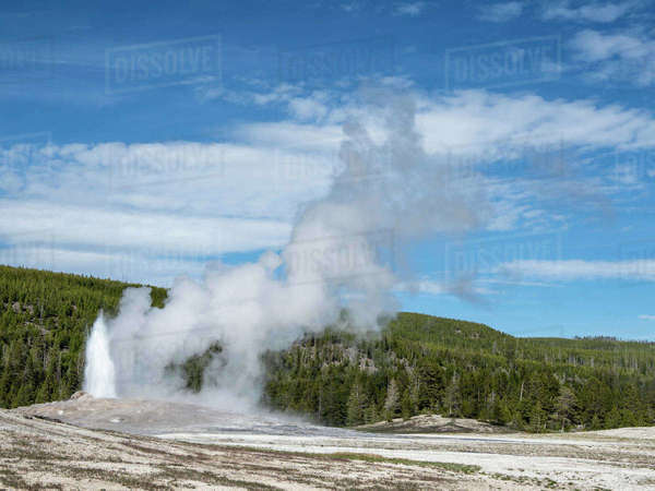 The cone geyser called Old Faithful erupting, Yellowstone National Park ...