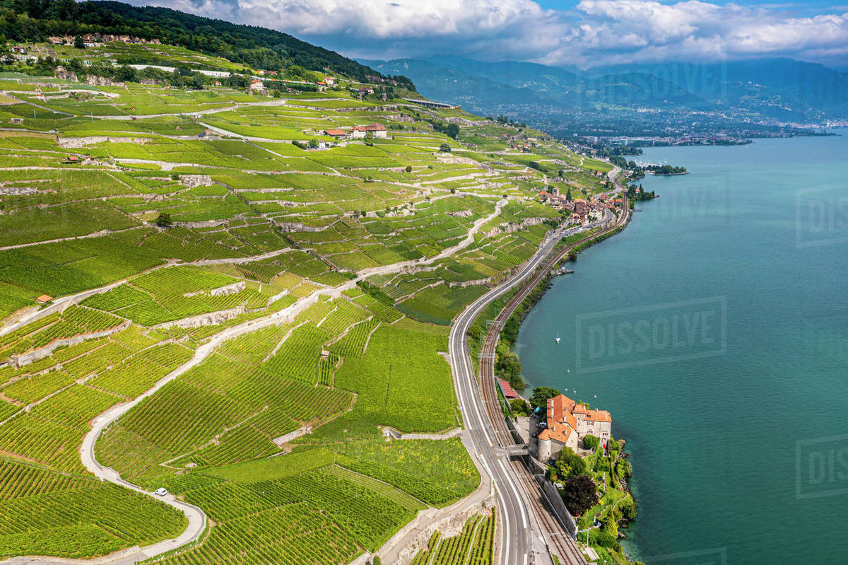 Aerial of the Lavaux Vineyard Terraces, UNESCO World Heritage Site ...