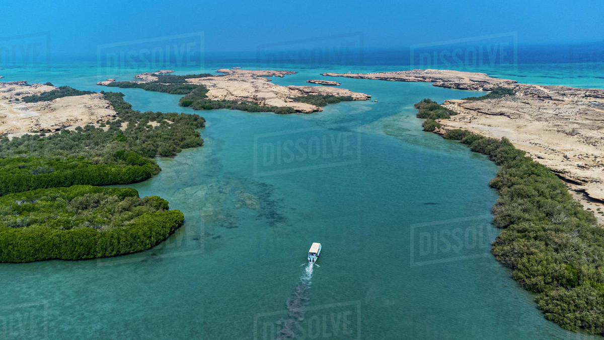 Aerial of the Mangrove forest, Farasan islands, Kingdom of Saudi Arabia ...