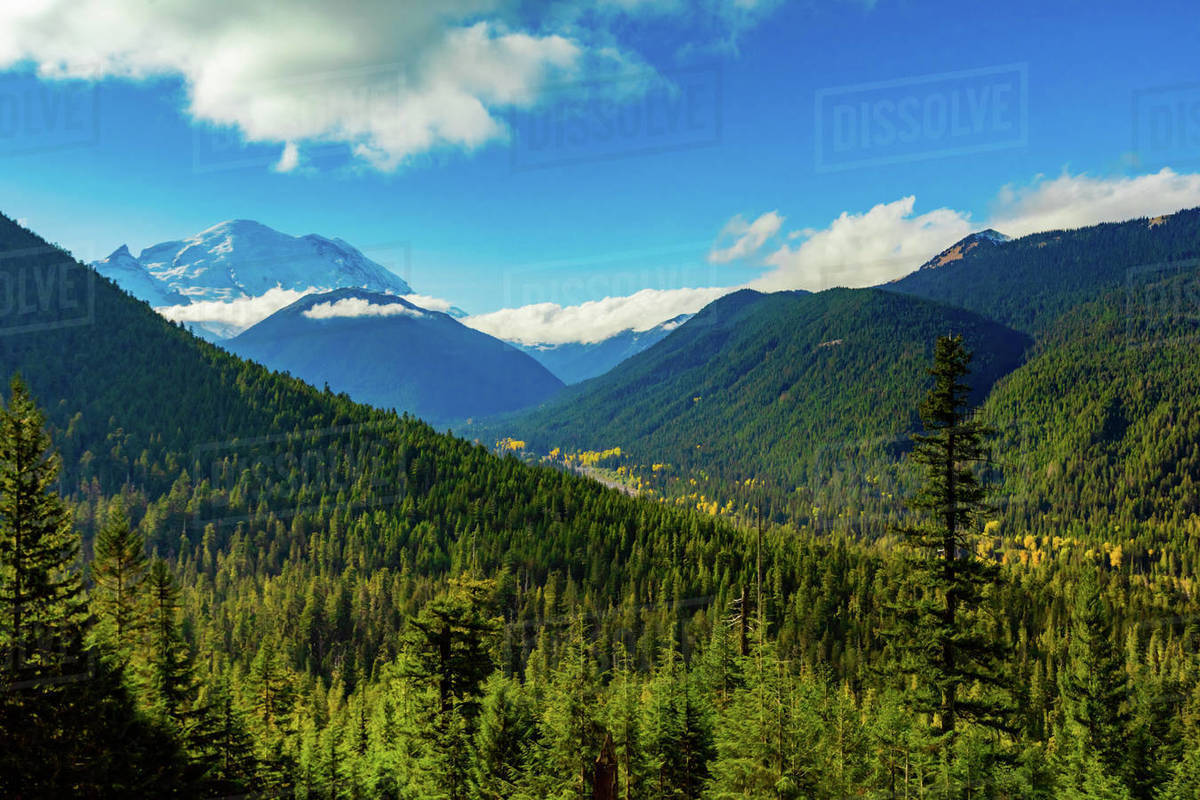 View of Mount Rainier, a stratovolcano in the Cascade Range of the ...