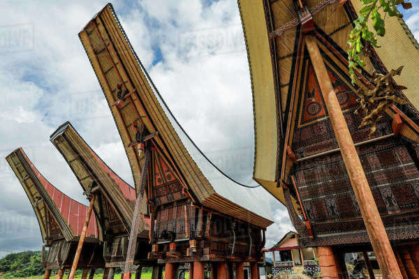 Saddleback roof tongkonans (family rice barns) (homes), Parinding ...