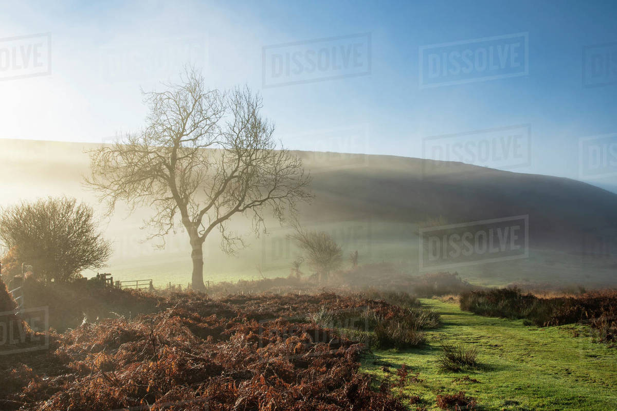 Mid-winter sunlight, and mist around Hutton Le Hole moorland village in ...