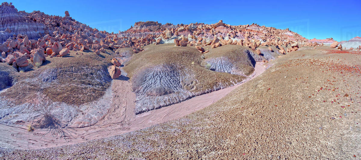 Field of boulders in Devil's Playground within Petrified Forest ...