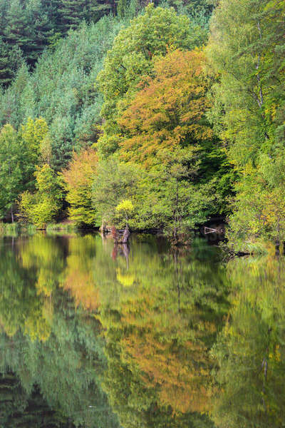 Idyllic shot of Kacirek pond during autumn, Kokorinsko, Central Bohemia ...