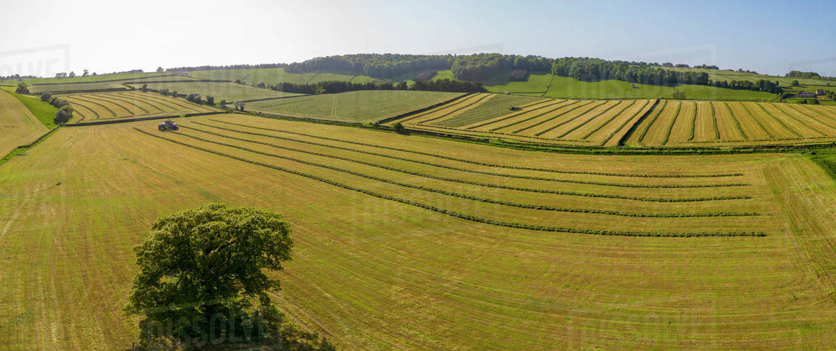 Aerial view of hay fields near Baslow village, Peak District National ...