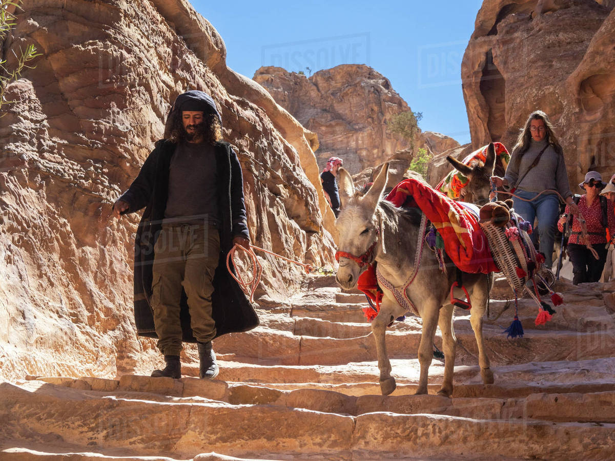 Donkeys, guide and tourists on the path to The Petra Monastery (Al Dayr ...