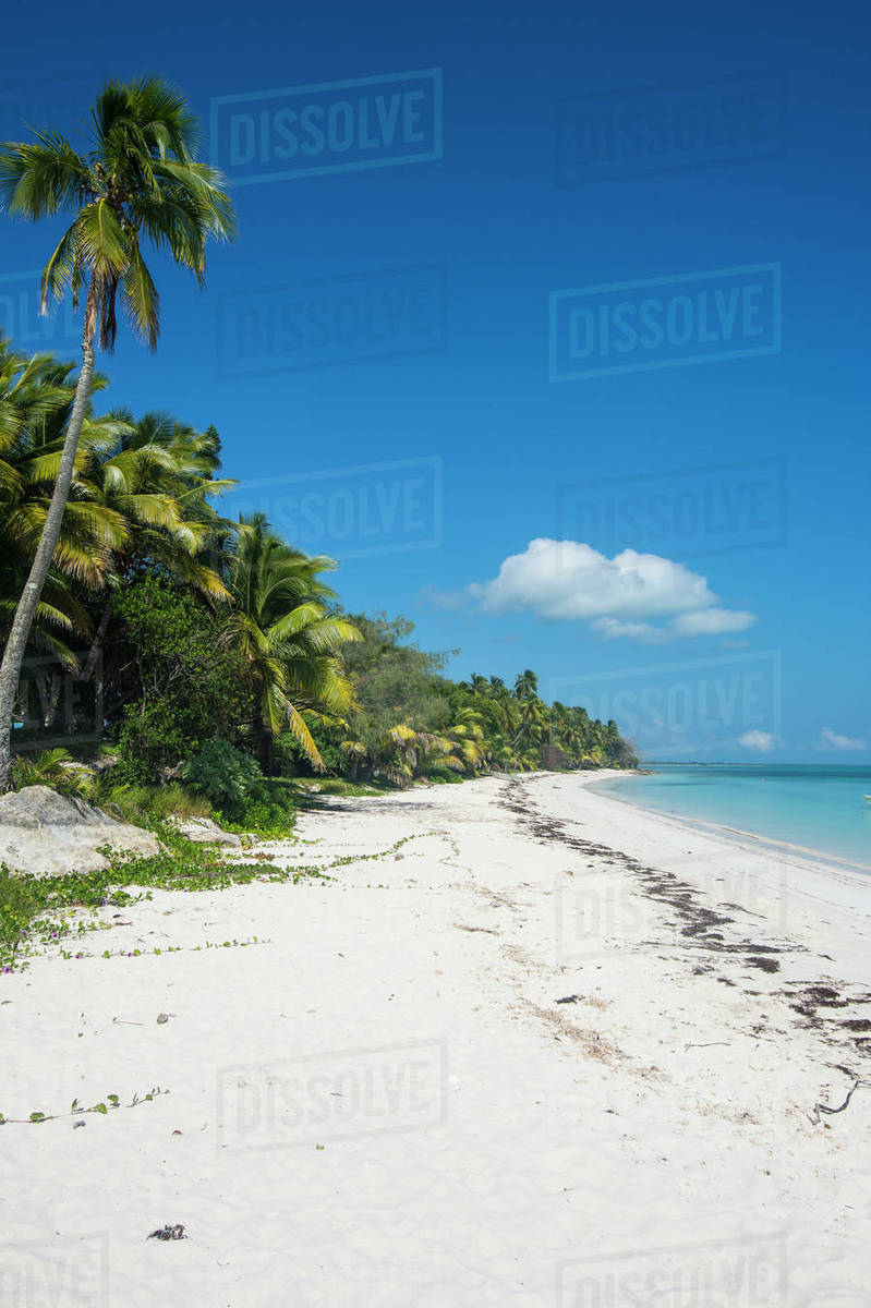 Turquoise waters and white sand beach, Ouvea, Loyalty Islands, New ...
