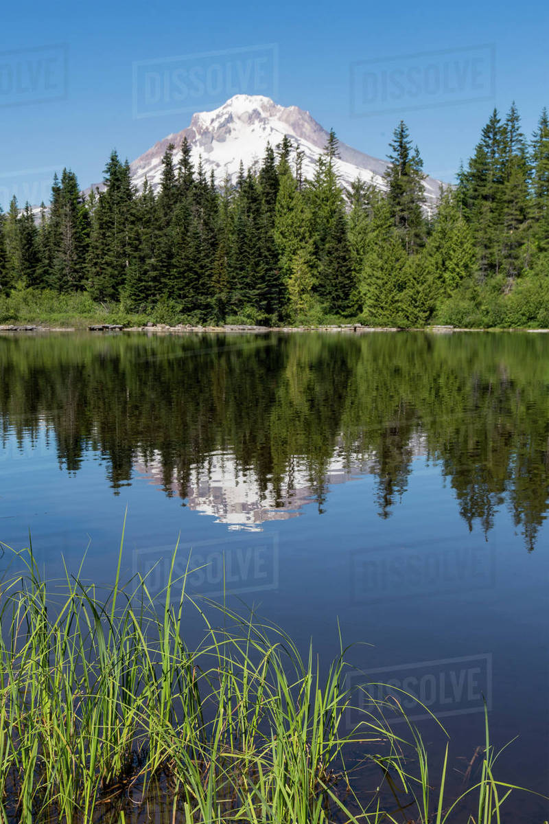 Mirror Lake Mount Hood Oregon Wallpaper Hd 'Mt. Hood Reflected In