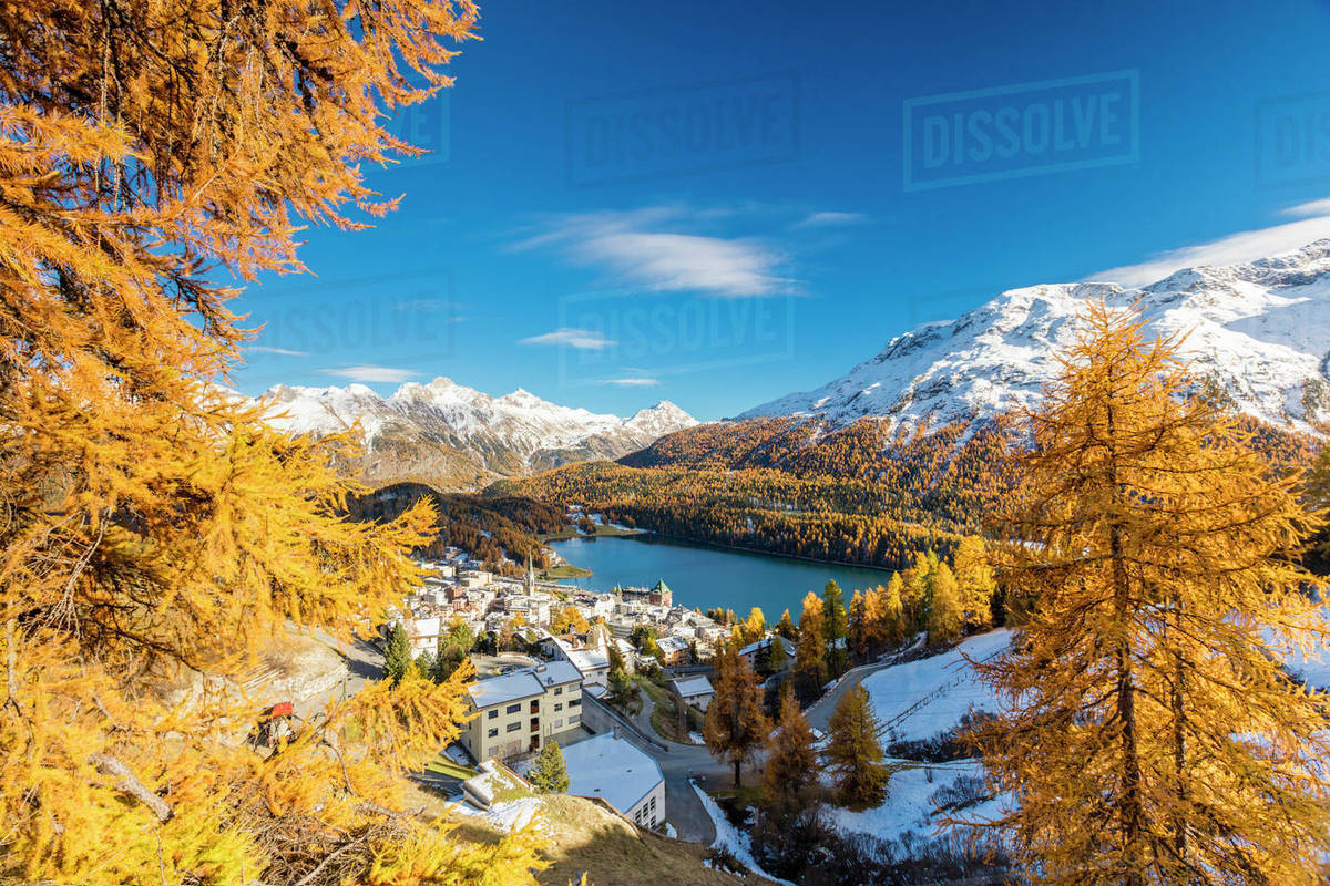 The alpine village of St. Moritz framed by colorful woods and the blue ...