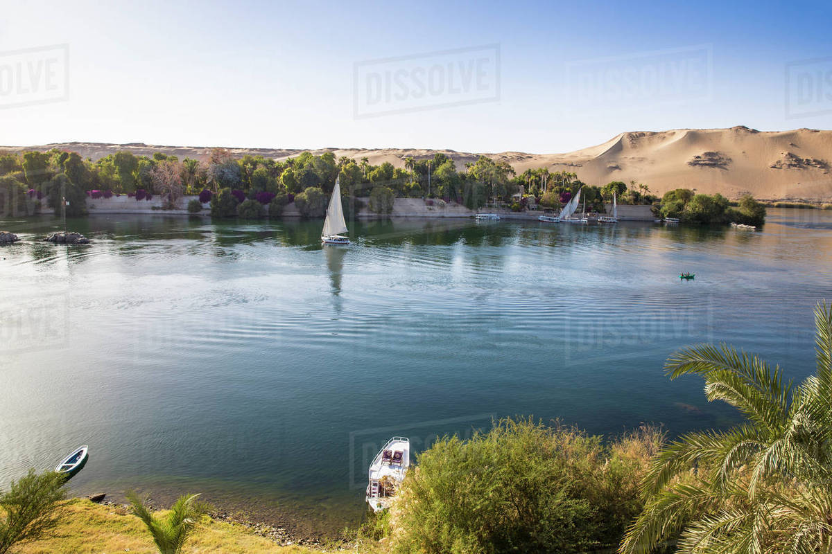 View of River Nile and the Botanical Gardens on Kitchener Island, Aswan ...
