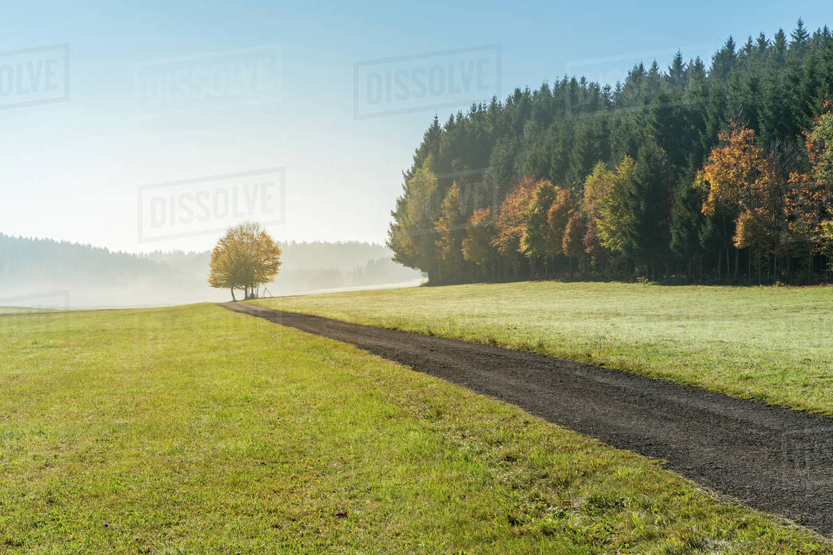 Road in the countryside in autumn, Heinstetten, Baden-Wurttemberg ...