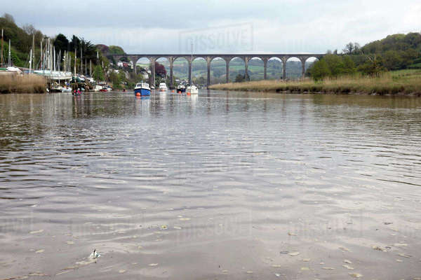 The viaduct over the River Tamar at Calstock, Devon, England, United ...