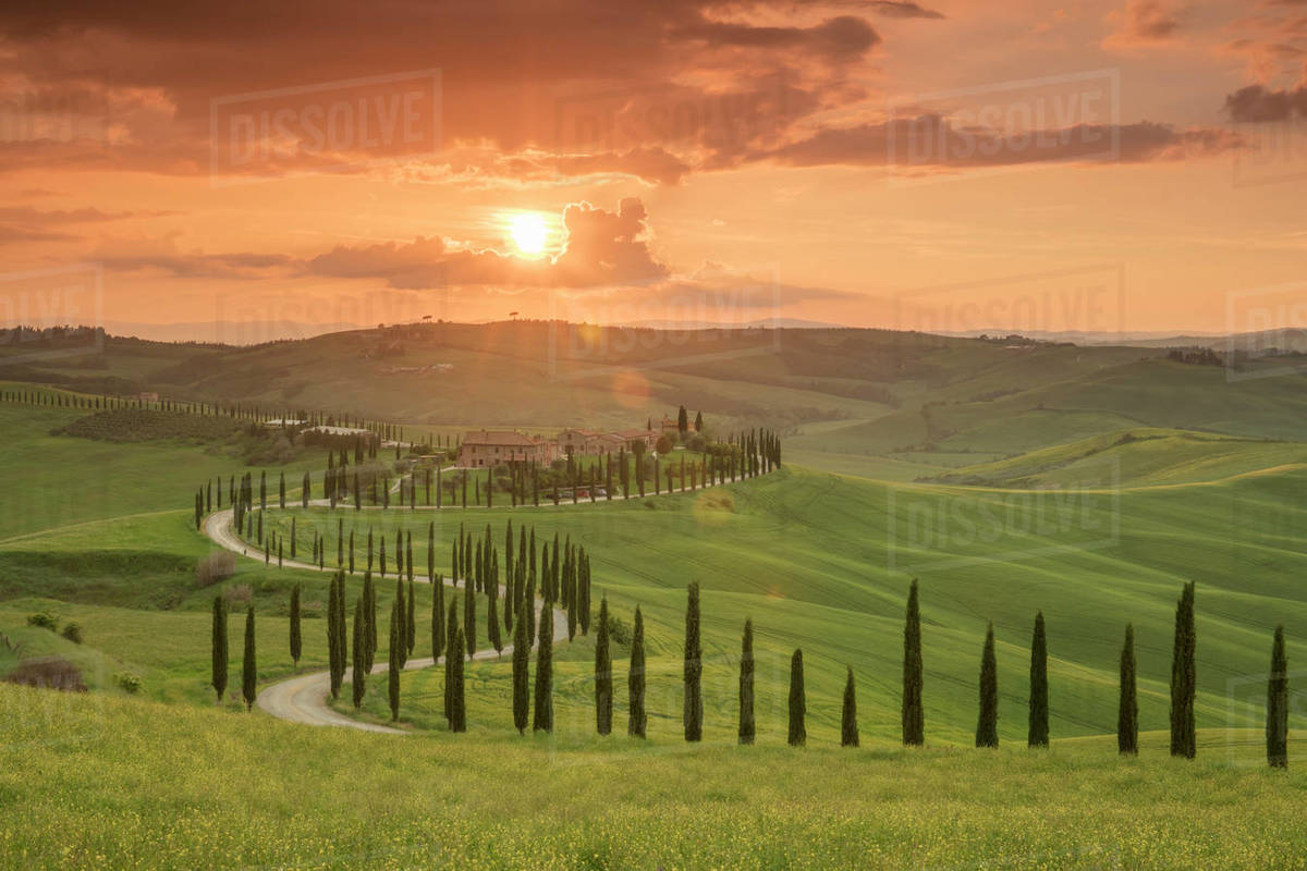 Sunset over the Agriturismo Baccoleno and winding path with cypress ...