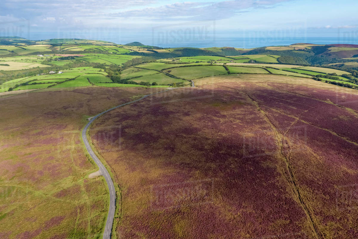 Aerial view over the moors, Exmoor National Park, Devon, England ...