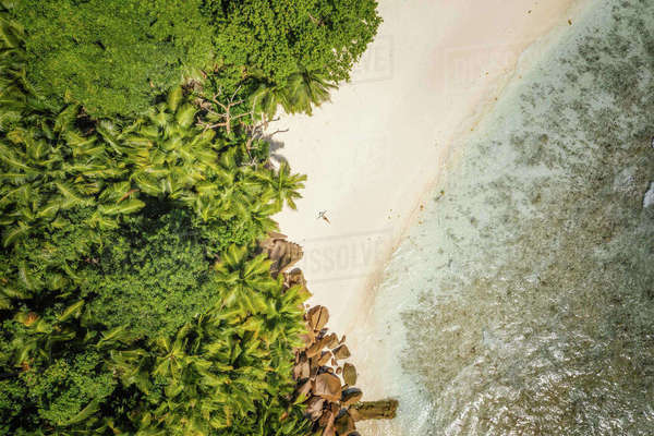 Female sunbathing on tropical sandy beach surrounded by palm trees and ...