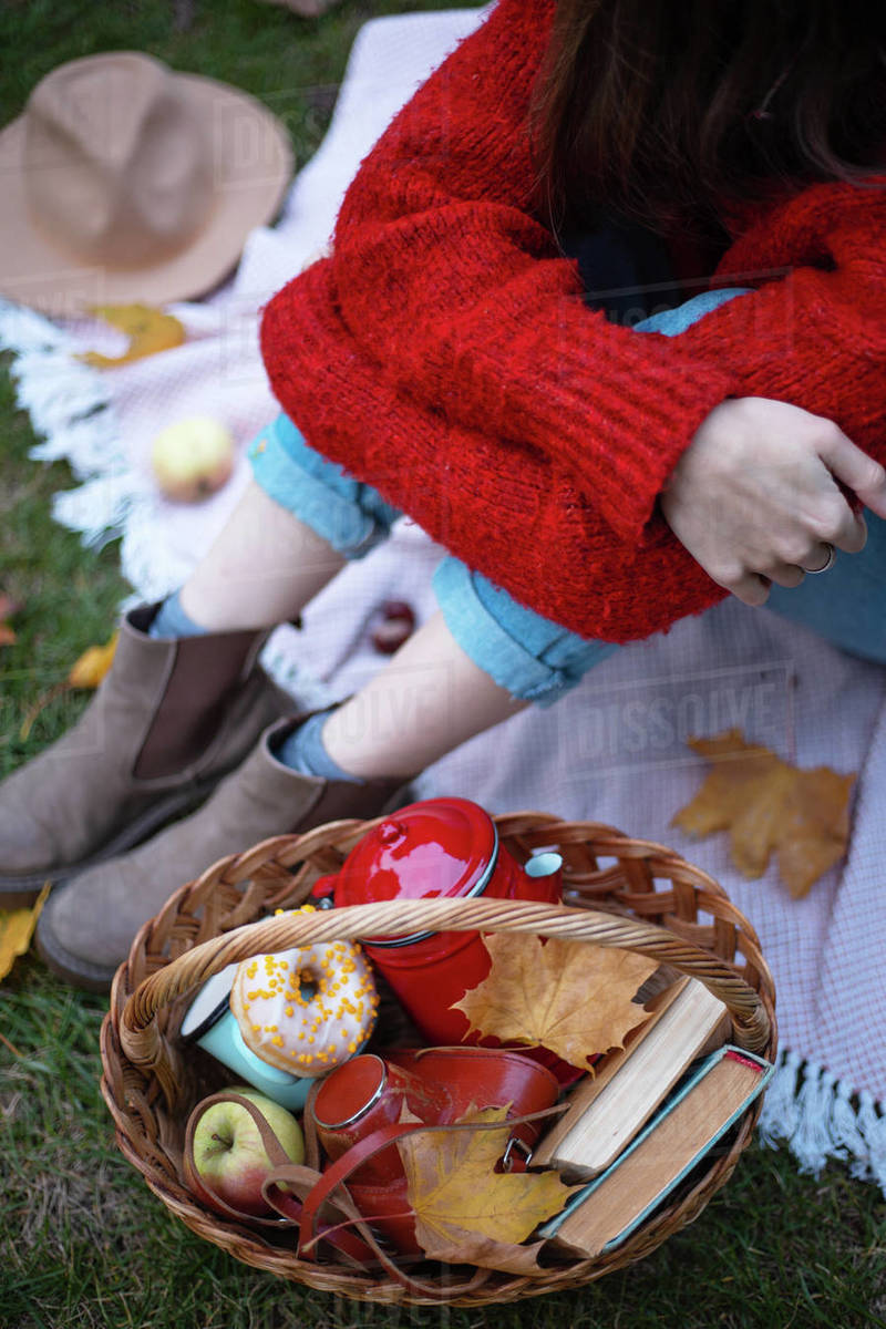 girl and picnic basket with plaid, apple, donuts, book. urban autumn ...