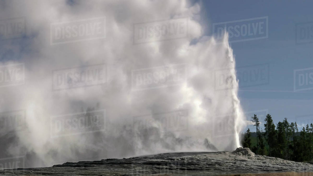 close up of old faithful geyser erupting at yellowstone national park ...