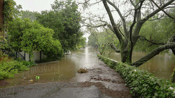 close view of the terrace closed due to flood water from the hawkesbury ...