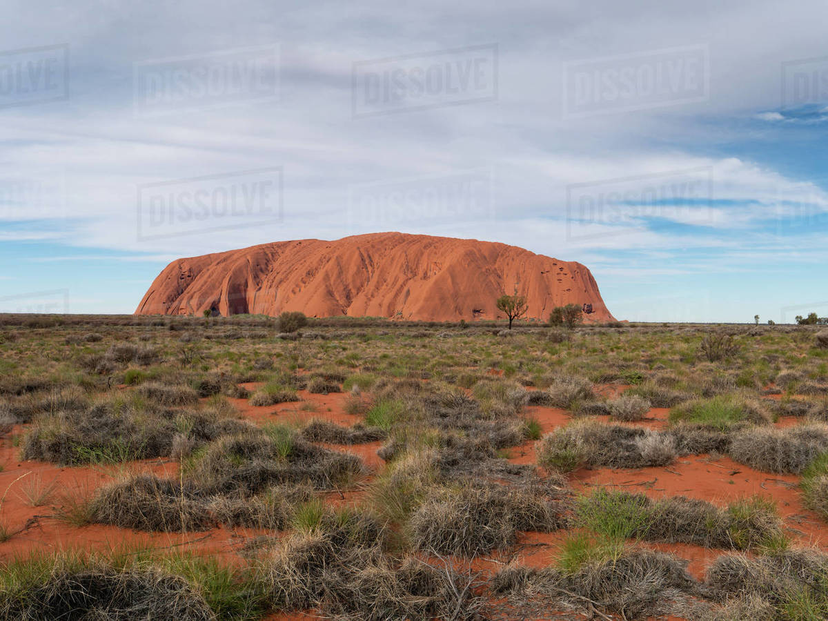 YULARA, AUSTRALIA - wide angle day shot of uluru in uluru-kata tjuta ...