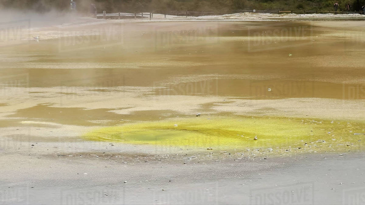 unusual yellow sulfur deposit at a thermal pool near rotorua on the ...