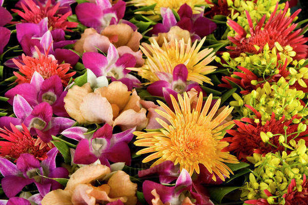 French Polynesia. Display of tropical native flowers. - Royalty-free ...