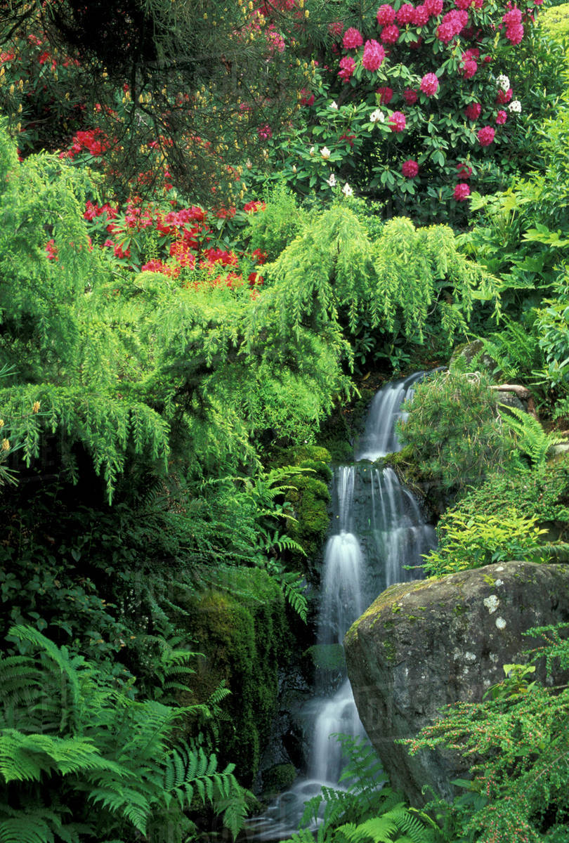 USA, Washington, Seattle, Washington Park Arboretum, Japanese Garden ...