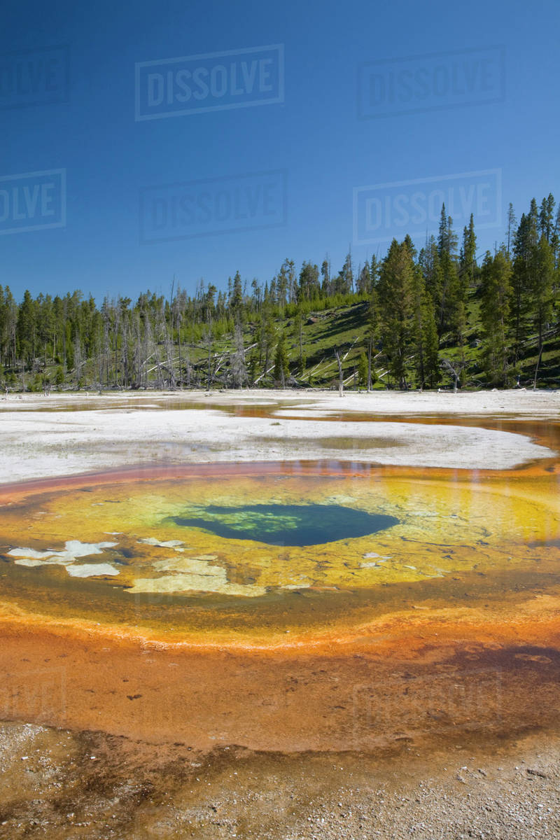 WY, Yellowstone National Park, Upper Geyser Basin, Chromatic Pool ...