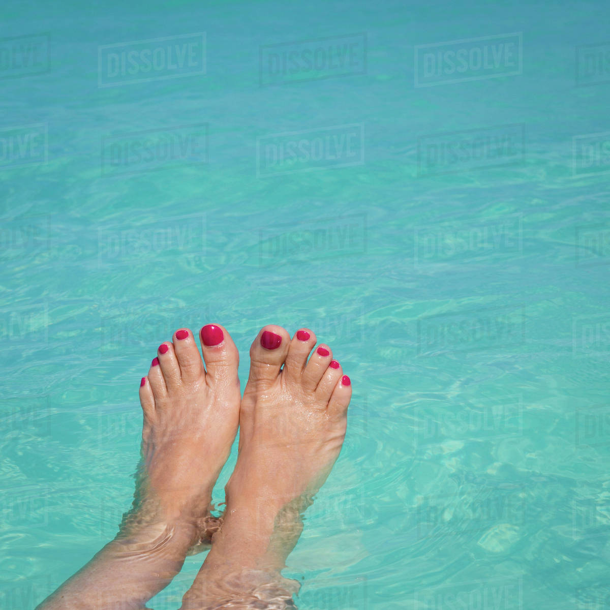 Bahamas, Little Exuma Island. Woman's feet floating in shallow water ...