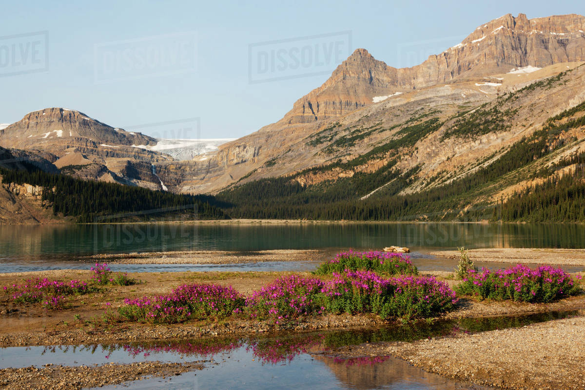 Canada, Alberta, Jasper National Park, Bow Lake with Bow Glacier and ...